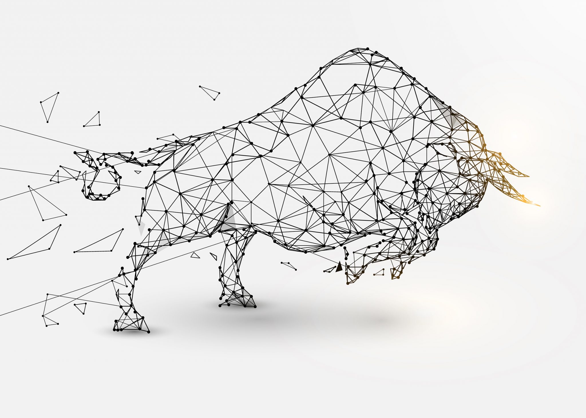 About Us – Select Minds LLC